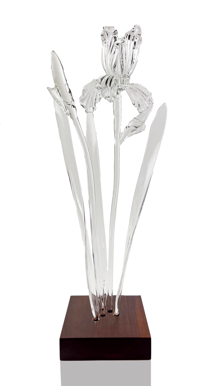 Iris – Frabel Glass
