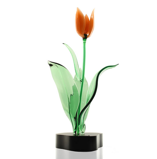 Tulip Collection – Frabel Glass