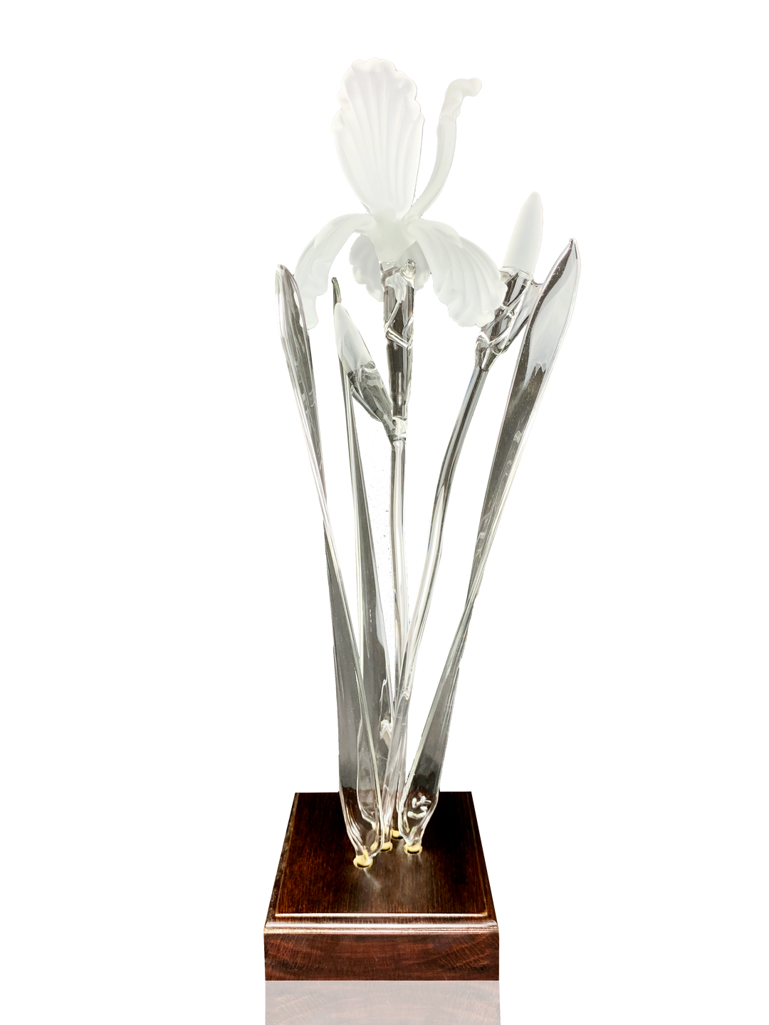 Iris – Frabel Glass