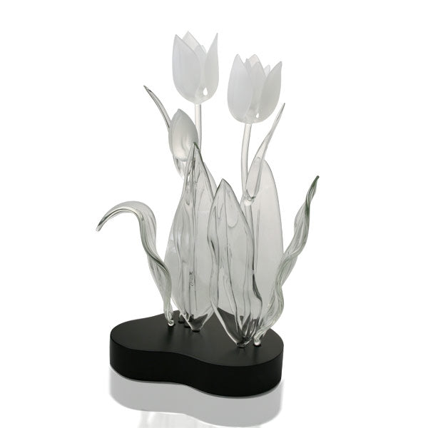 Tulip Collection – Frabel Glass